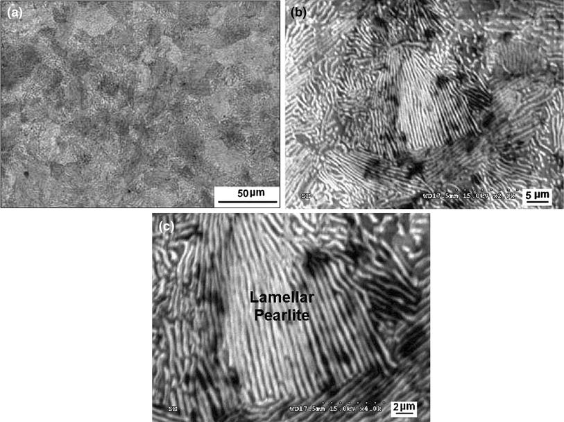 Microstructure Evolution in AISI 1080 Eutectoid Steel Under Cyclic ...