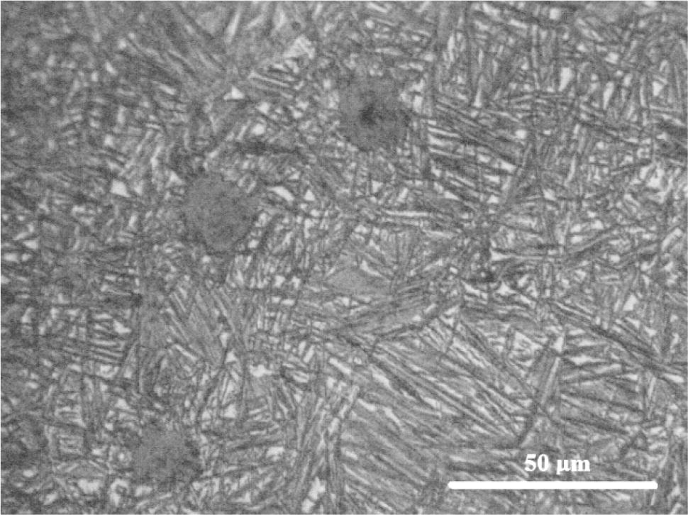 Graphite Formation and Dissolution in Ductile Irons and Steels Having ...