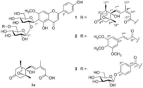New spinosin derivatives from the seeds of Ziziphus mauritiana ...