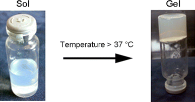 Effects of formulation properties on sol–gel behavior of chitosan ...