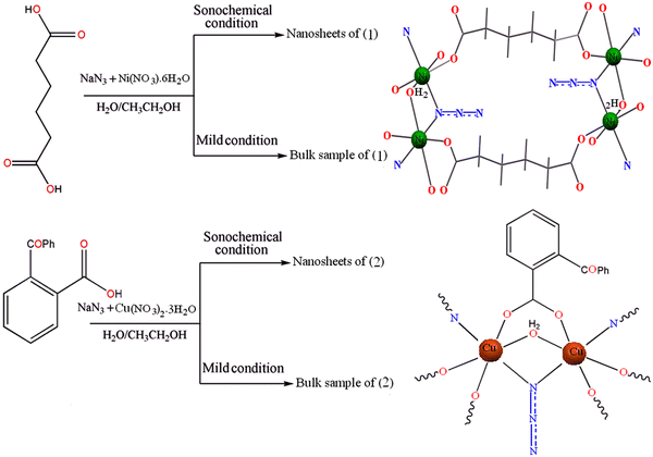 Syntheses and characterization of two new coordination compounds ...