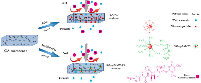 Cellulose acetate/SiO2-poly(2-Acrylamido-2-methylpropane sulfonic acid ...