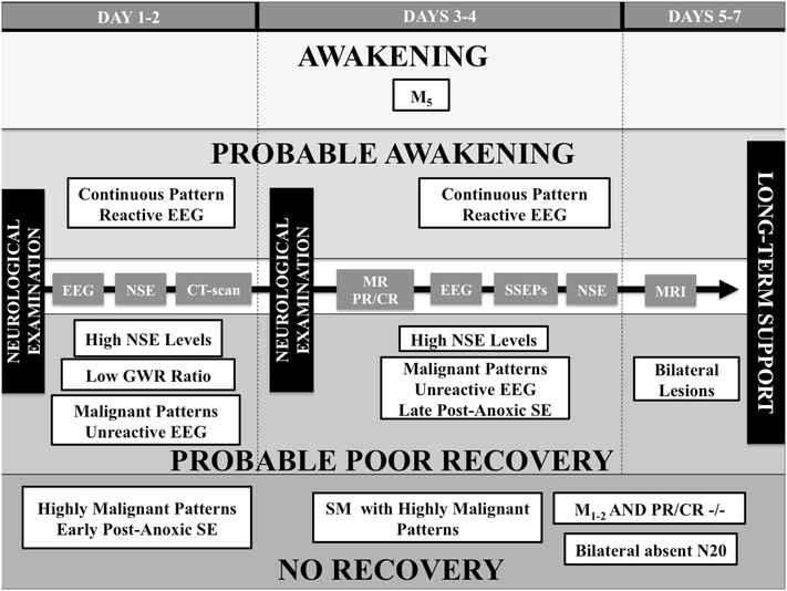 Neuroprognostication after adult cardiac arrest treated with targeted ...