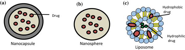 Mechanisms of drug release from advanced drug formulations such as ...