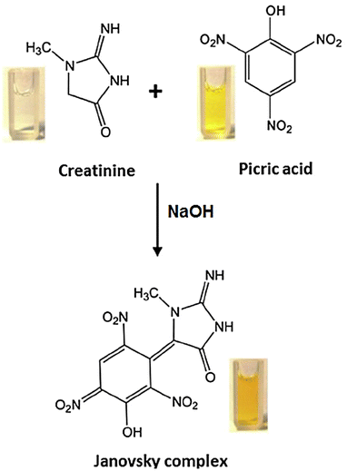 Development of biosensor for detection of serum creatinine | SpringerLink