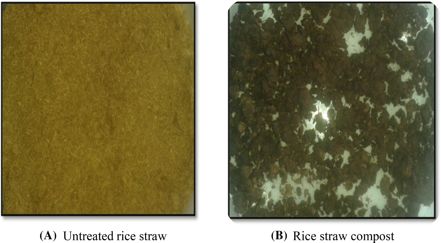 Enhanced bio-composting of rice straw using agricultural residues: an ...