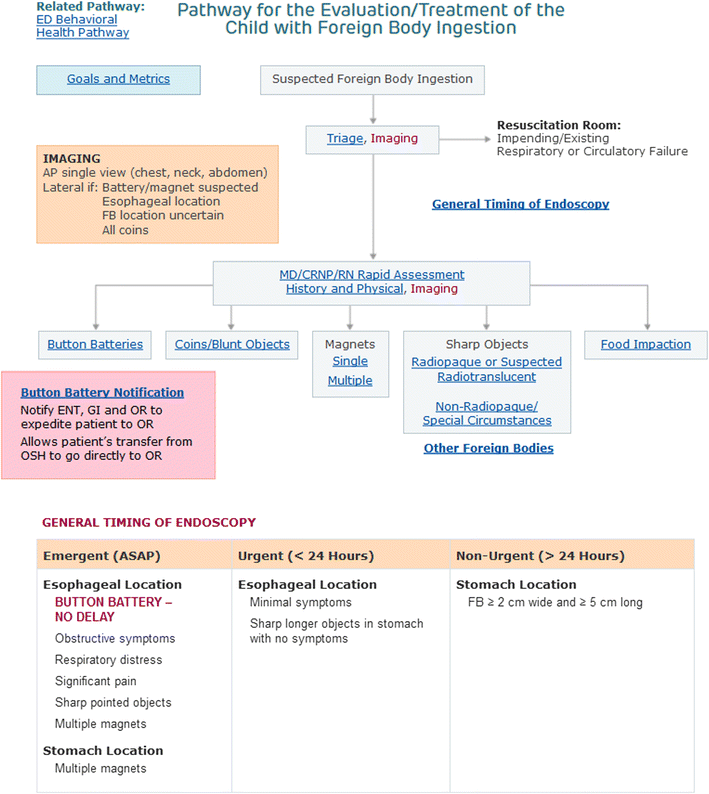 Foreign Body Ingestions: Approach to Management | SpringerLink