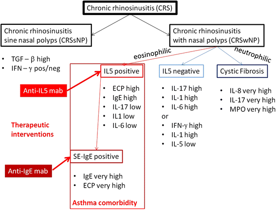 The Pathogenesis of CRS: An Update | SpringerLink