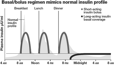 Hospital-Based Management of Diabetes Mellitus | SpringerLink