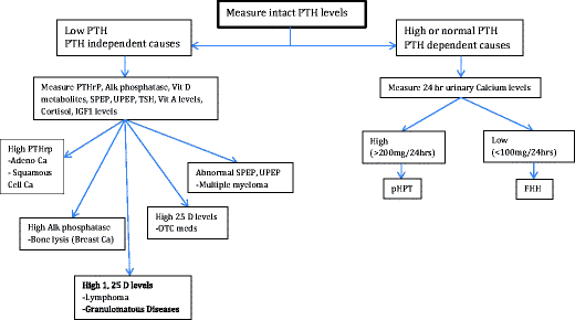 Hypercalcemia in Inpatient Setting: Diagnostic Approach and Management ...