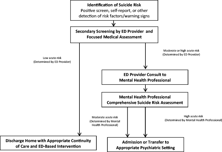Identification, Assessment, and Management of Suicide Risk in Emergency ...