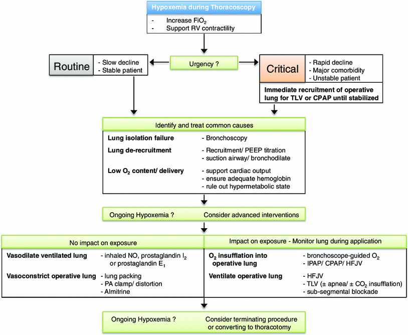Arterial Oxygenation and Management of Hypoxemia During VATS | SpringerLink