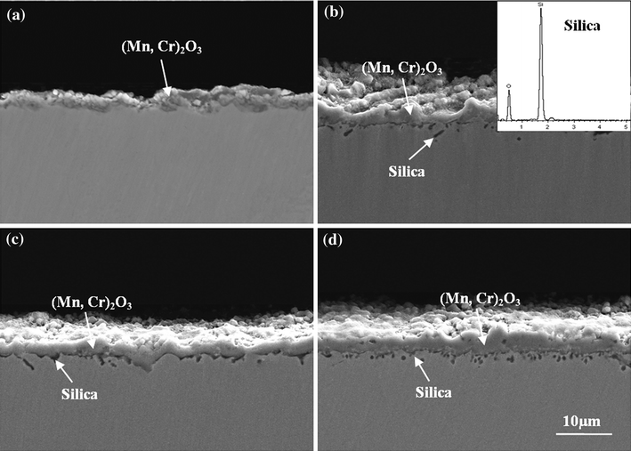 Effect of Intergranular Precipitation on the Internal Oxidation ...