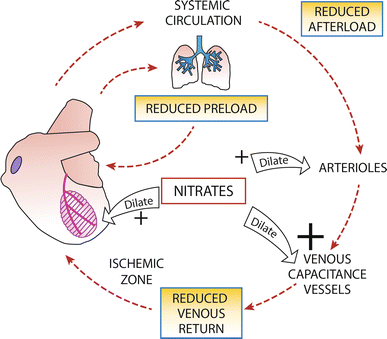 Challenges with Nitrate Therapy and Nitrate Tolerance: Prevalence ...