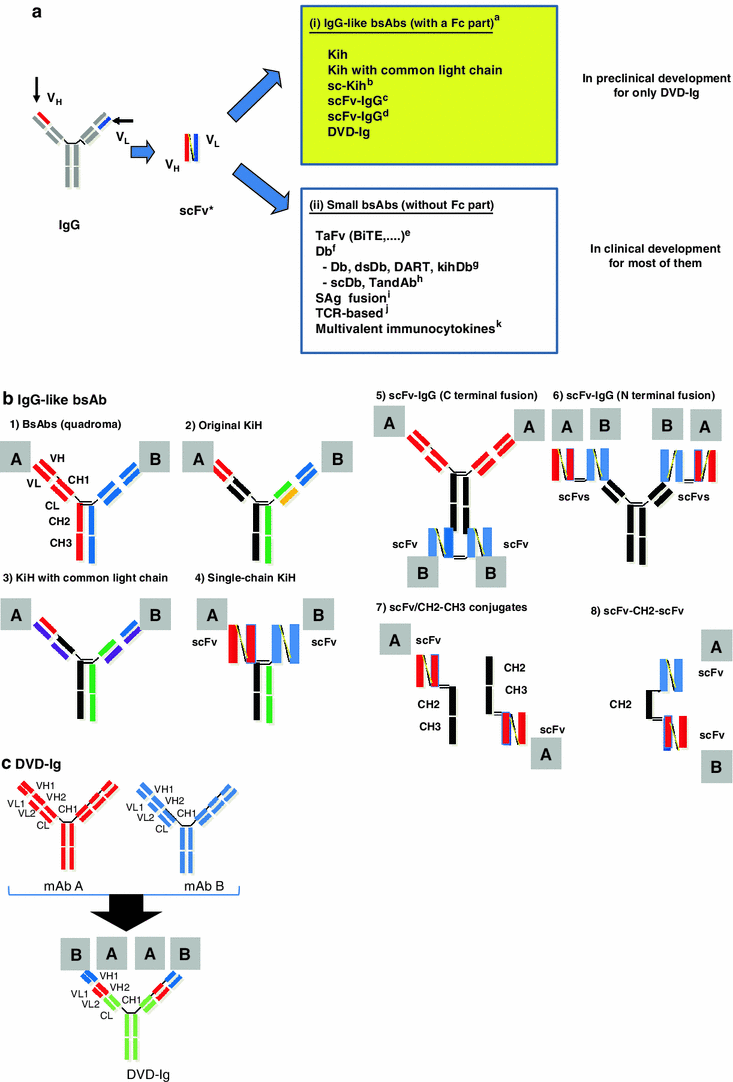 Bispecific Antibodies and Trispecific Immunocytokines for Targeting the ...