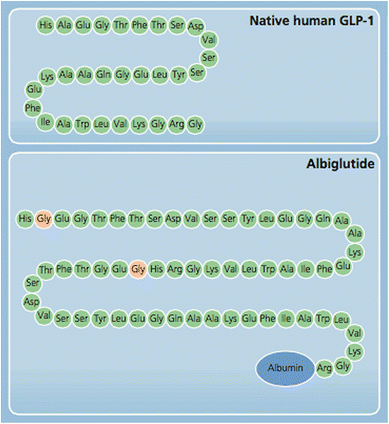 Clinical Pharmacokinetics and Pharmacodynamics of Albiglutide ...
