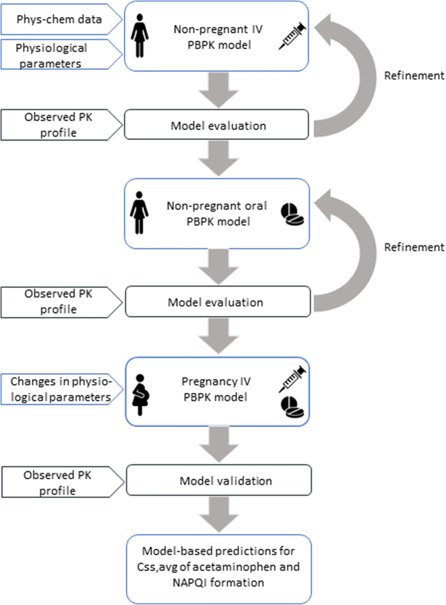 Physiologically Based Pharmacokinetic Modeling to Characterize ...