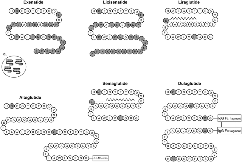 Novel GLP-1 (Glucagon-Like Peptide-1) Analogues and Insulin in the ...