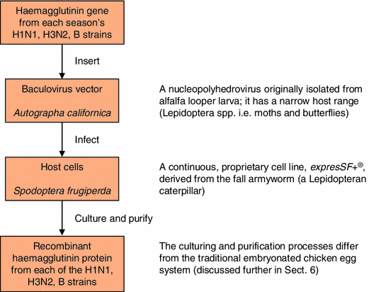 Recombinant Trivalent Influenza Vaccine (Flublok®): A Review of Its Use ...