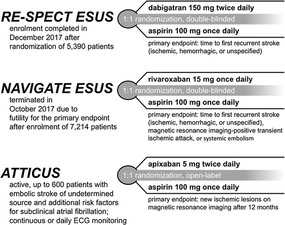 Management of Embolic Stroke of Undetermined Source (ESUS) | SpringerLink