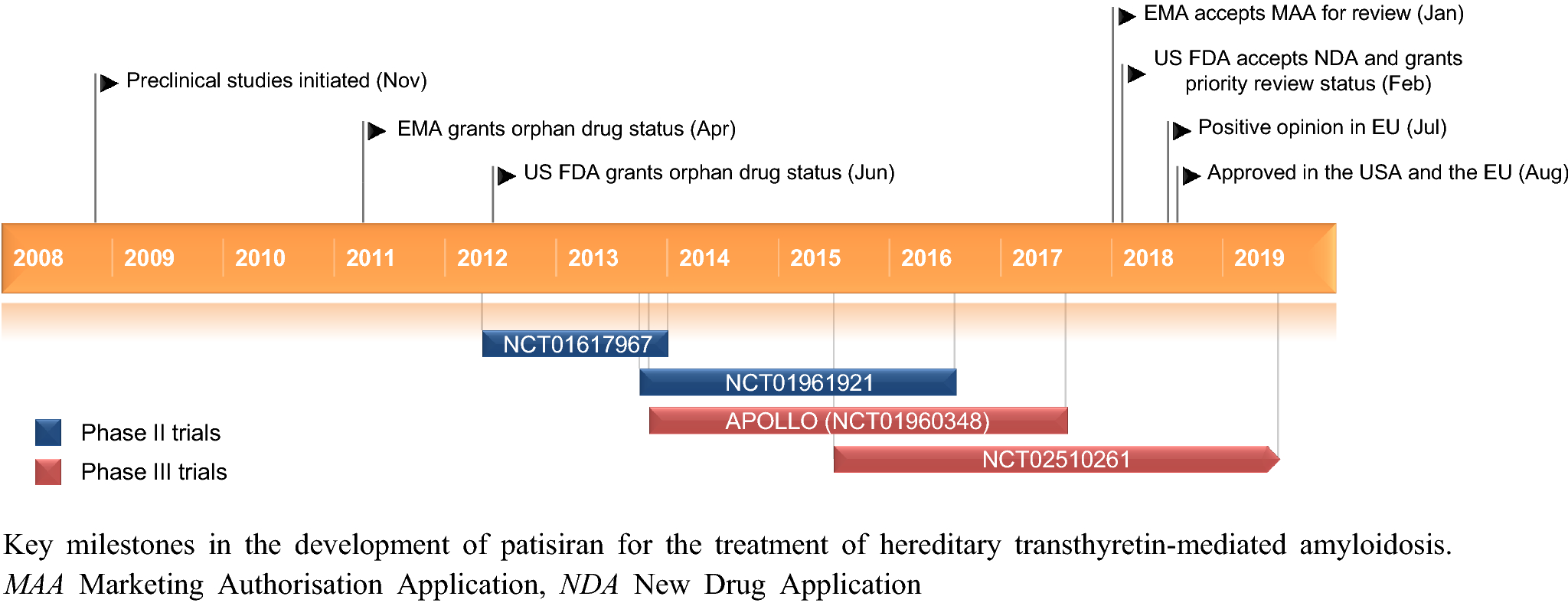 Patisiran: First Global Approval | SpringerLink