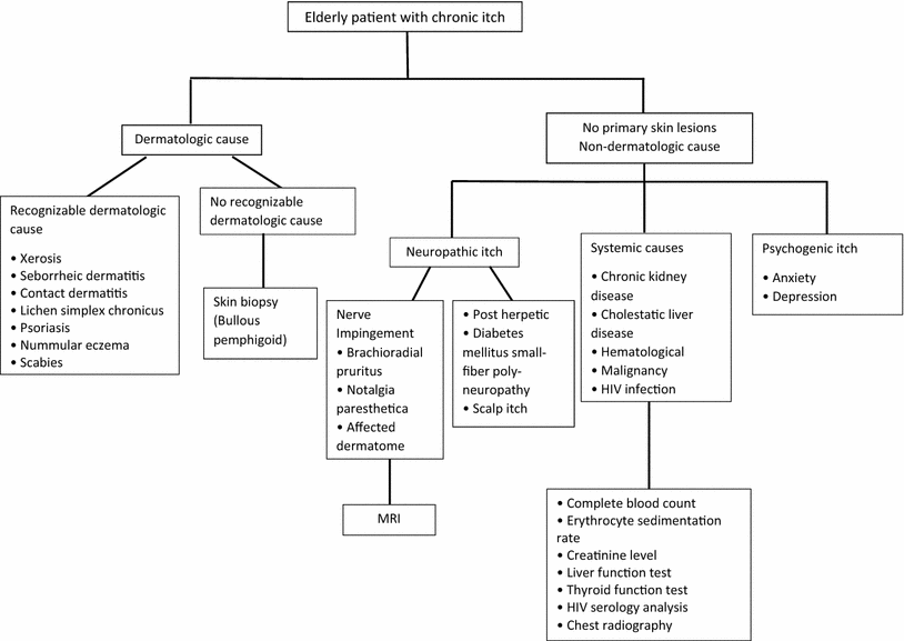Chronic Pruritus in the Elderly: Pathophysiology, Diagnosis and ...