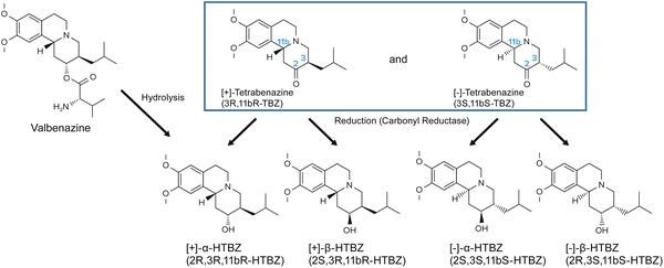 Differences in Dihydrotetrabenazine Isomer Concentrations Following ...