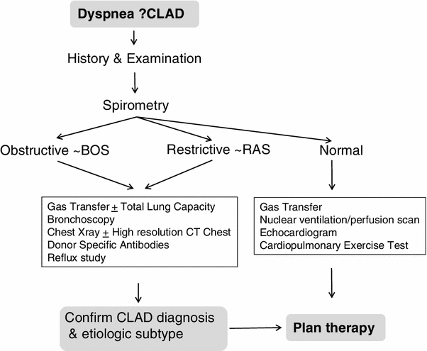 Managing Bronchiolitis Obliterans Syndrome (BOS) and Chronic Lung ...