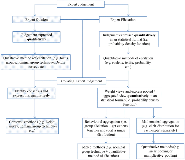 Reporting Guidelines for the Use of Expert Judgement in Model-Based ...