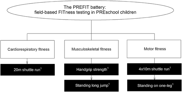 Systematic Review and Proposal of a Field-Based Physical Fitness-Test ...