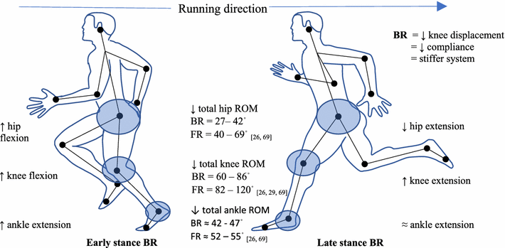 A New Direction to Athletic Performance: Understanding the Acute and ...