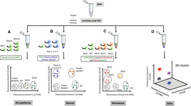 The Role of BEAMing and Digital PCR for Multiplexed Analysis in Molecular Oncology in the Era of ...