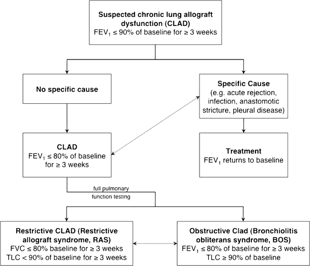 Update on Bronchiolitis Obliterans Syndrome in Lung Transplantation ...