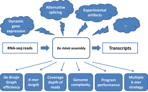 De novo assembly of transcriptome from next-generation sequencing data ...