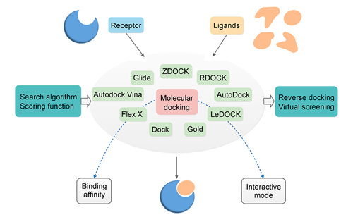Progress in molecular docking | SpringerLink