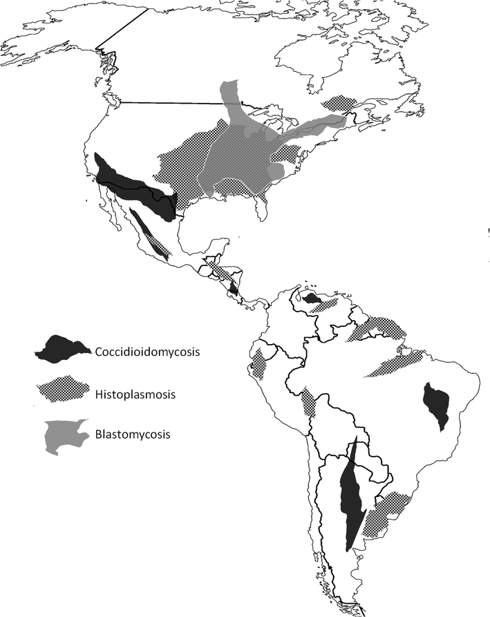 Approach to the Diagnosis of Histoplasmosis, Blastomycosis and ...
