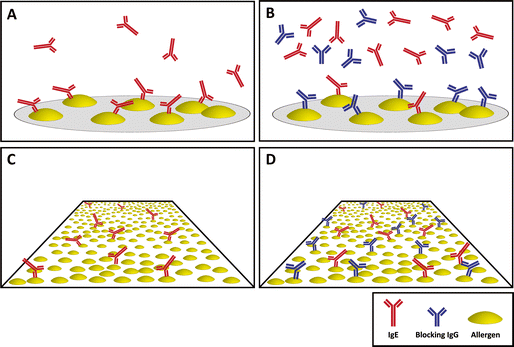Monitoring Allergen Immunotherapy Effects by Microarray | SpringerLink