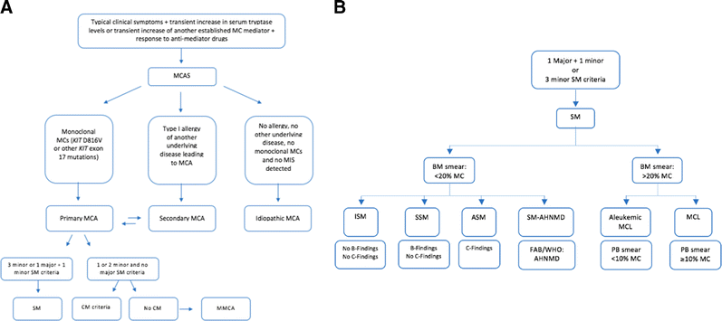 Mast Cell Activation Syndromes | SpringerLink