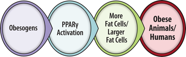 The Obesogen Hypothesis: Current Status and Implications for Human ...