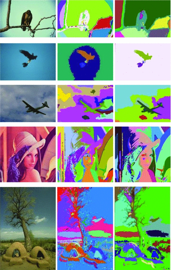 An image segmentation approach for fruit defect detection using k-means clustering and graph ...