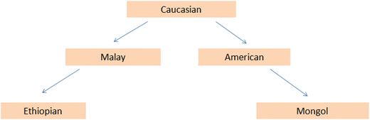 Overcoming the Racial Hierarchy: the History and Medical Consequences ...
