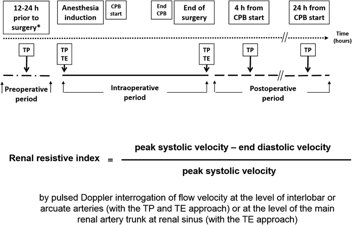 Renal resistive index by transesophageal and transparietal echo-doppler ...