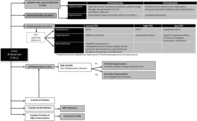 Pediatric nephrolithiasis: a systematic approach from diagnosis to ...