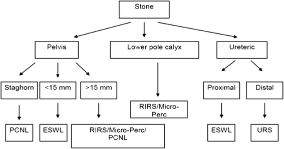 Pediatric nephrolithiasis: a systematic approach from diagnosis to ...
