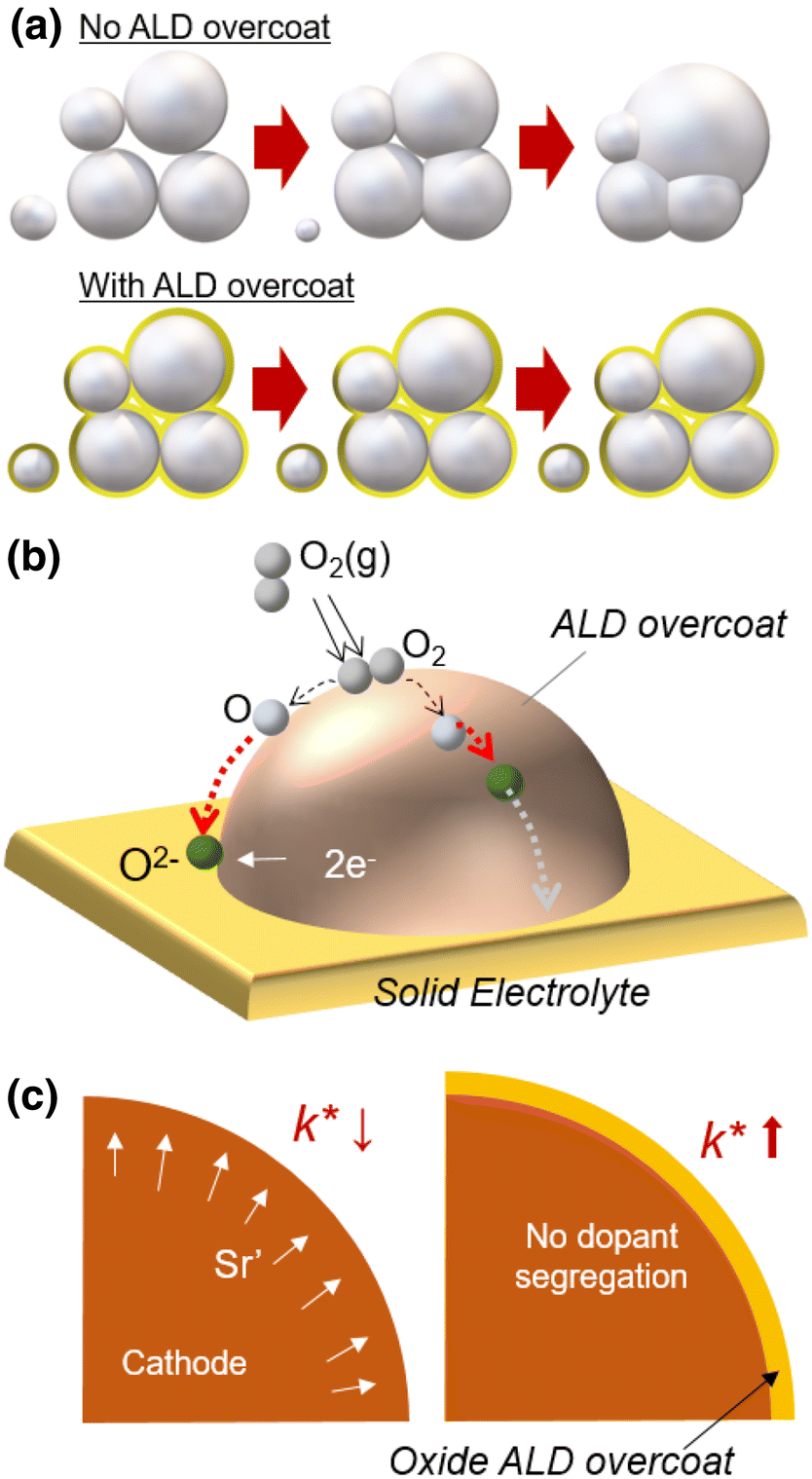 Nanoscale Surface and Interface Engineering of Solid Oxide Fuel Cells ...