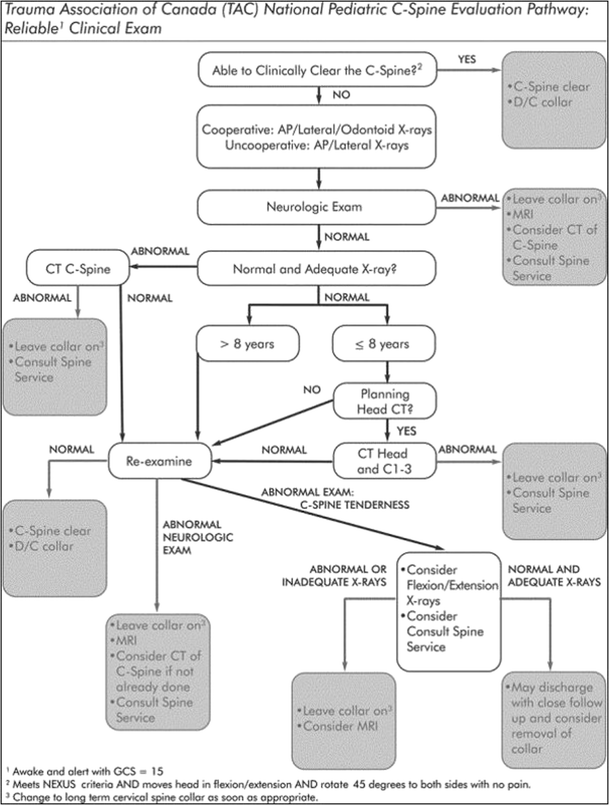Clearing the Pediatric Cervical Spine | SpringerLink