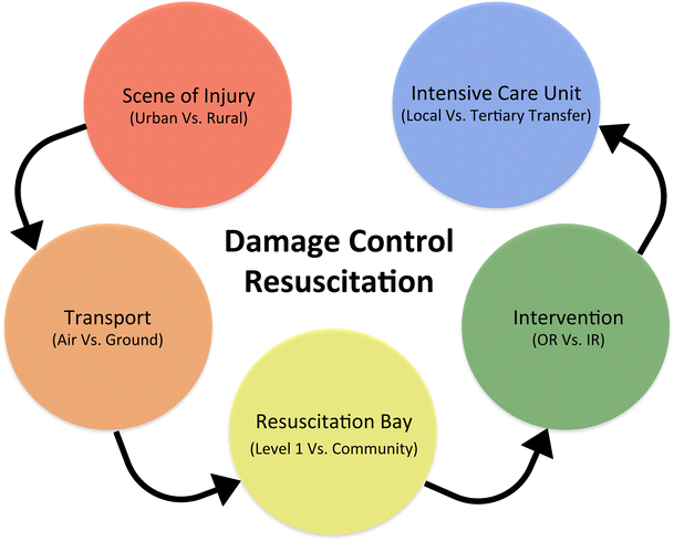 Damage Control Resuscitation Across the Phases of Major Injury Care ...