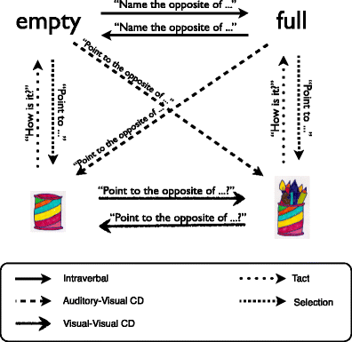 Emergence of Intraverbals with Antonyms Derived From Relations with ...