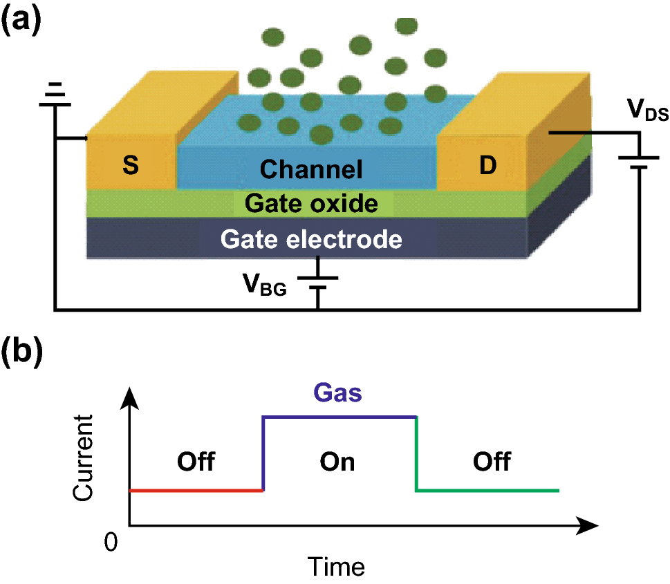 Metal–Organic Framework-Based Sensors for Environmental Contaminant Sensing | SpringerLink