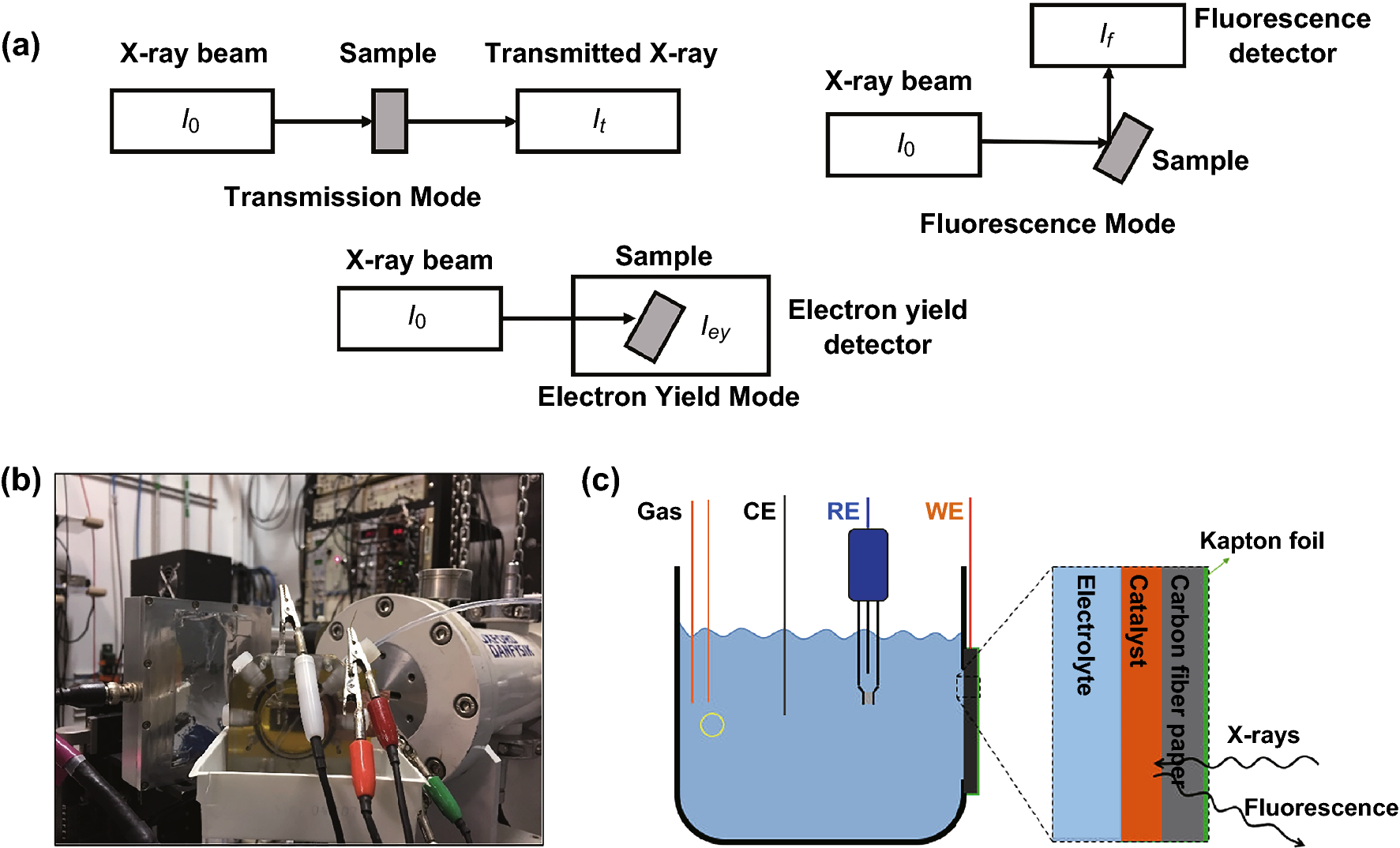 In Situ X-ray Absorption Spectroscopy Studies of Nanoscale Electrocatalysts | SpringerLink